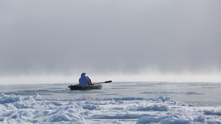 Angry Inuk – The Documentary Film hopes to change minds on seal ban ...